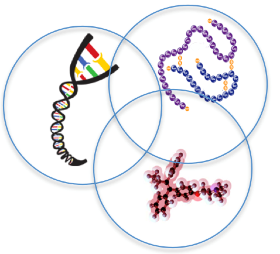 METLIN CCS · ISF 0eV